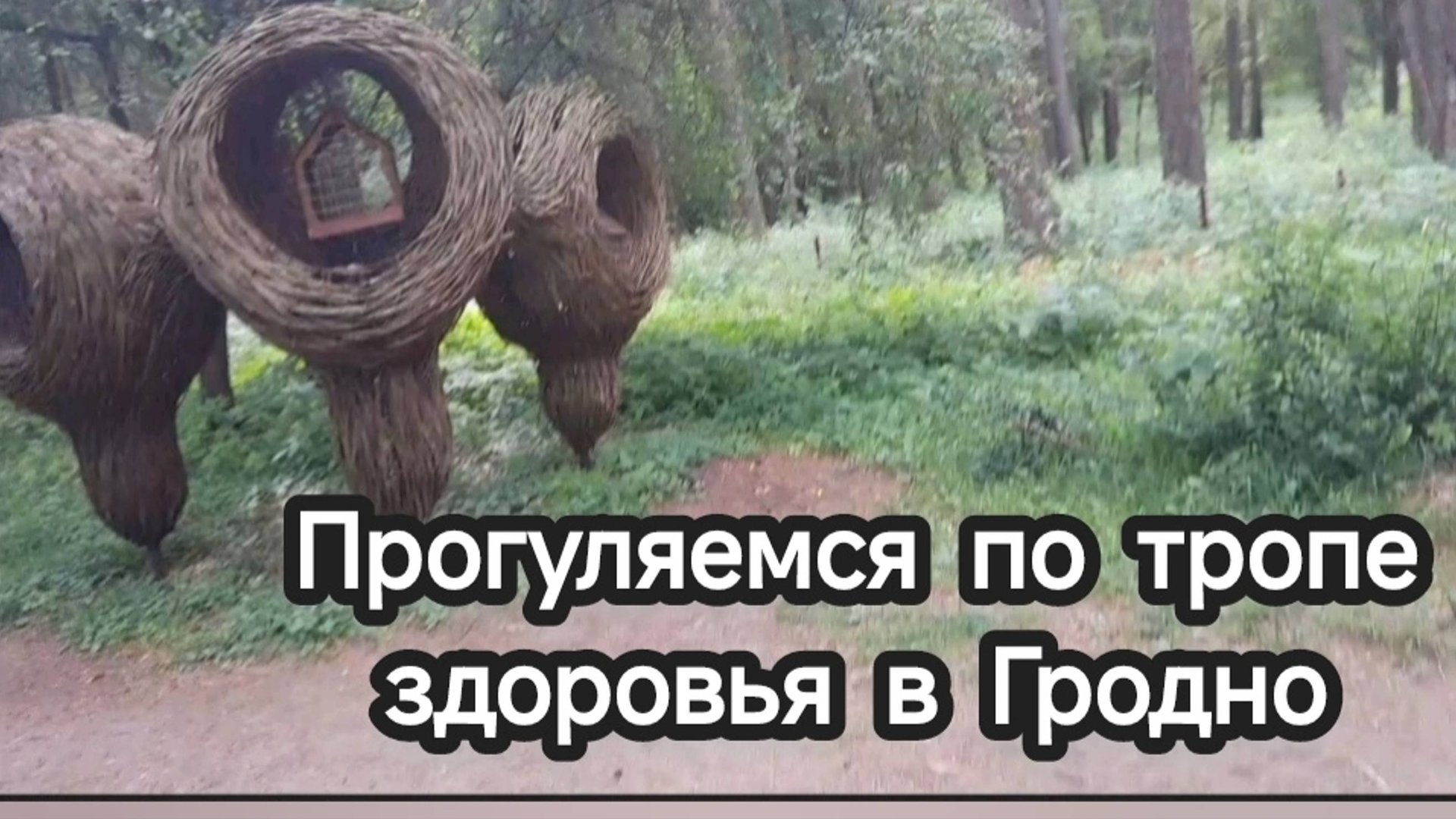 Город Гродно - лучший город для жизни в Беларуси