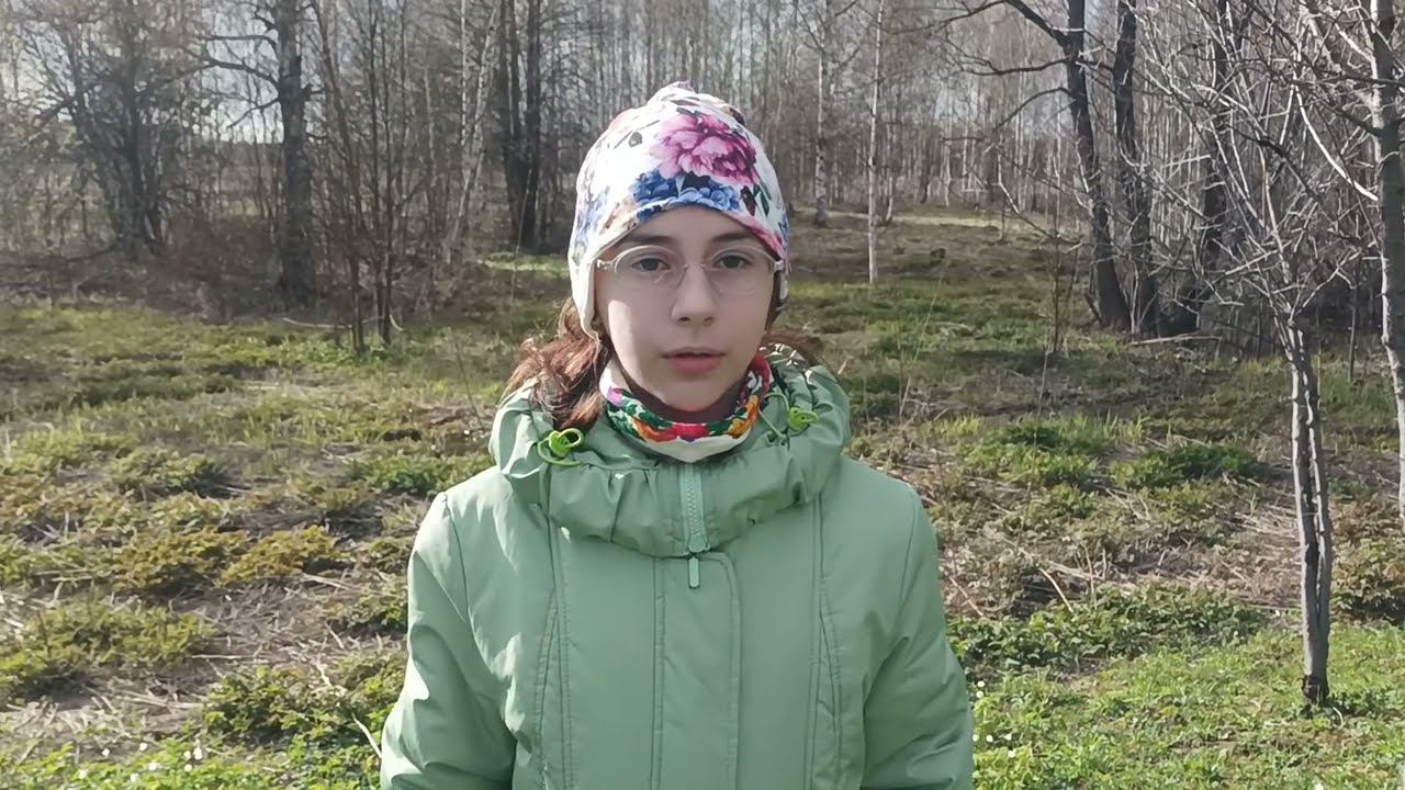 Николай Зайцев  - инженер - кораблестроитель