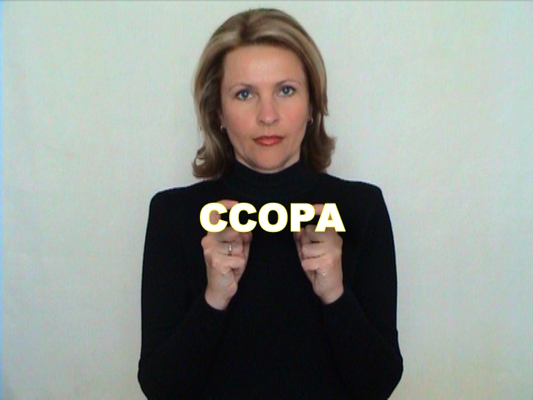 ЖЕСТОВЫЙ ЯЗЫК. СЛОВАРЬ. Ссора