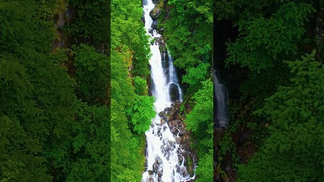 Горная Абхазия. Водопады #shorts