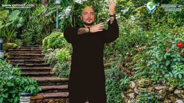 5 мин для здоровой селезёнки. Дыхательная практика для внутренних органов. К.Перо Академия Целителей