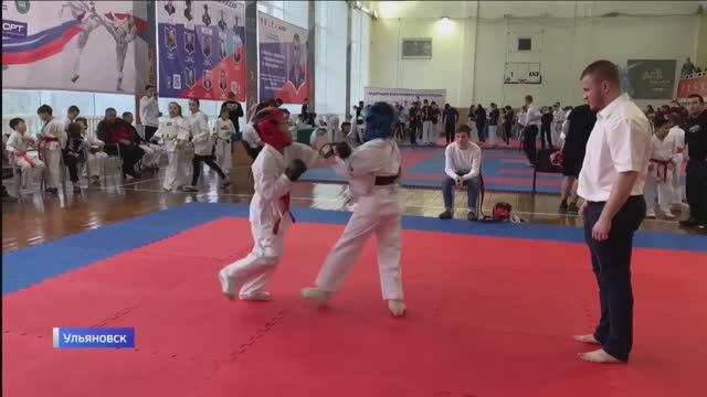 В минувшие выходные в регионе состоялся турнир и первенство по всестилевому каратэ