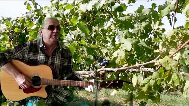 "Основы основ". Песня.