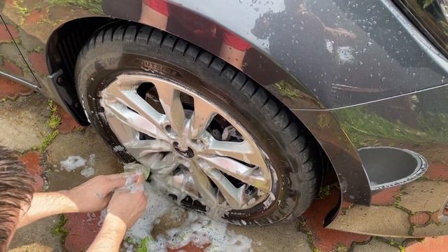 Shine Systems CationicShampoo