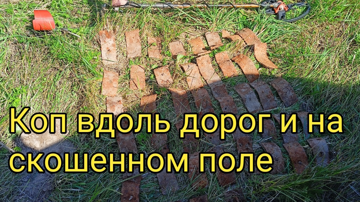 Металлокоп на скошенном поле