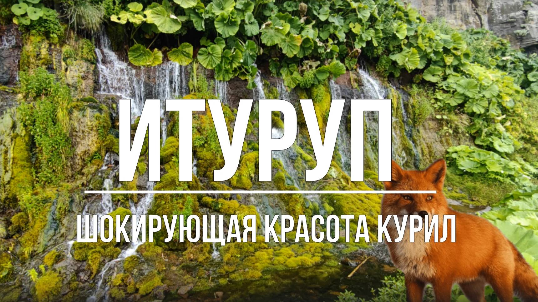 КУРИЛЫ. ИТУРУП - НЕЗАБЫВАЕМЫЕ ЭМОЦИИ!