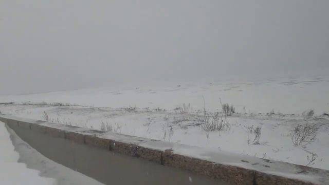 Снова корюшка декабрь 2021