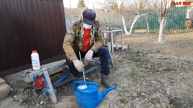 Обязательно обработайте сад от вредителей.mp4