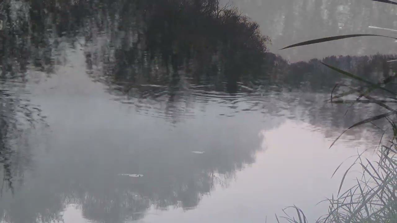 Утренние туманы над рекой Упа, рассвет