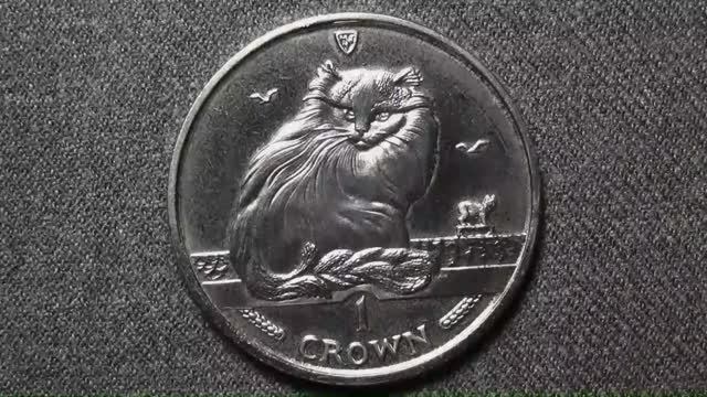 1 крона Острова Мэн 1995 года. Кошка Турецкая Ангора.