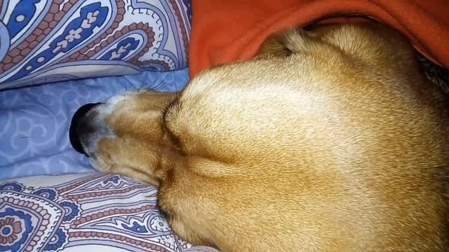 Айке снится сон ..mp4