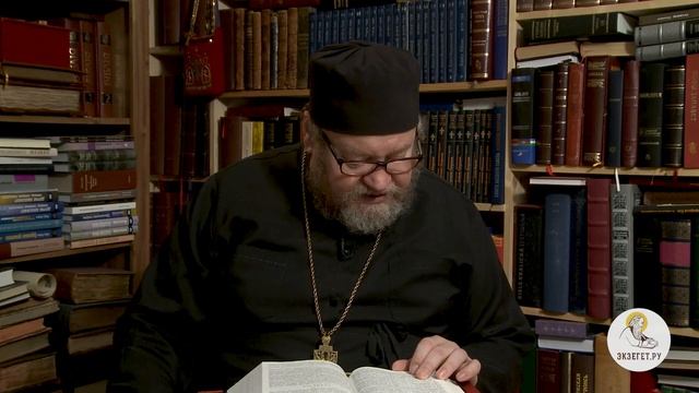 Второзаконие. Глава 14. Протоиерей Олег Стеняев. Толкование Ветхого Завета. Толкование Библии.mp4