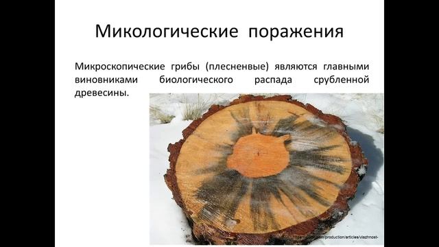 Открытая лекция д.т.н., проф. Куницкой О.А. «Технология и оборудование лесопромышленных складов»