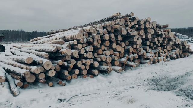 погрузка древесины часть 1.mp4