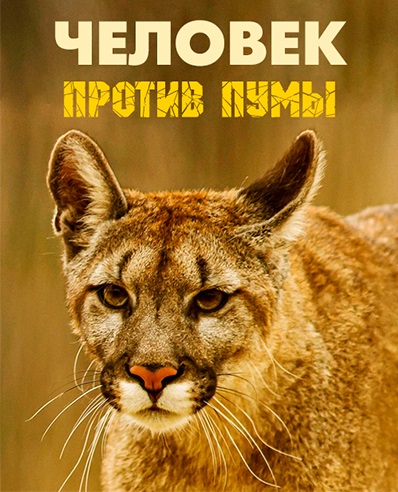 Человек против пумы / Man vs. Puma