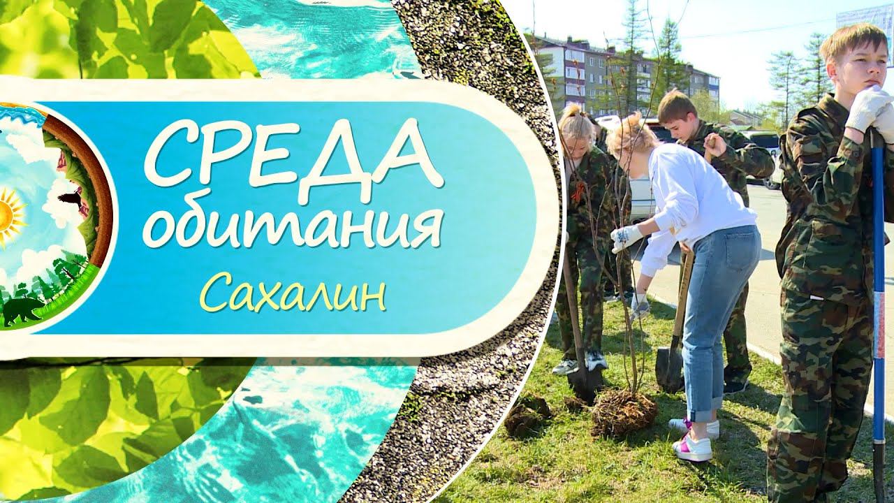 Восстановление лесов в Сахалинской области. Среда Обитания 25.05.23