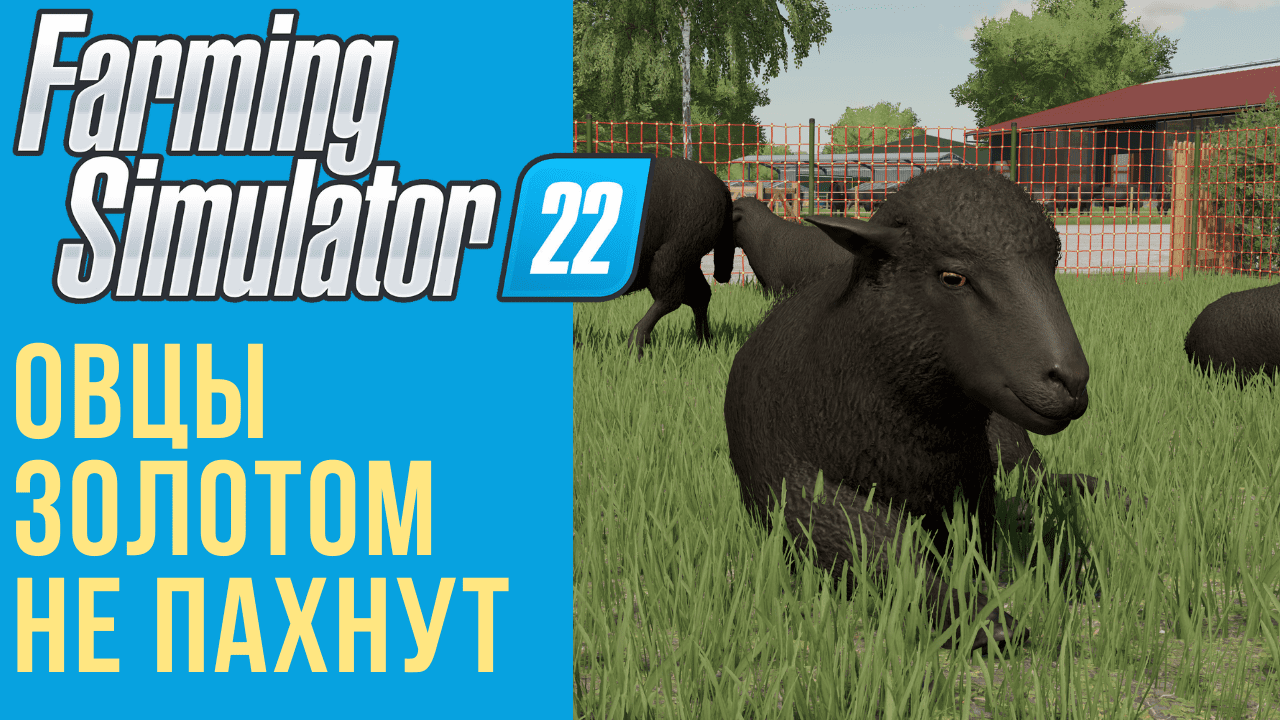 ? Всё об овцах в Farming Simulator 22