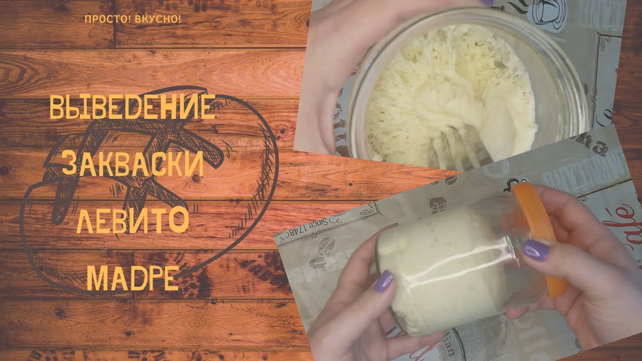 Выведение итальянской пшеничной закваски 50% влажности Левито Мадре