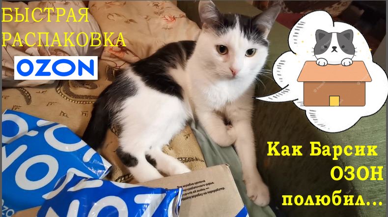 БЫСТРАЯ РАСПАКОВКА/тейпы от боли в суставах/#ВЫШИВКА "Обережки" от Созвездия/СКАЗОЧНЫЙ ЛЕС