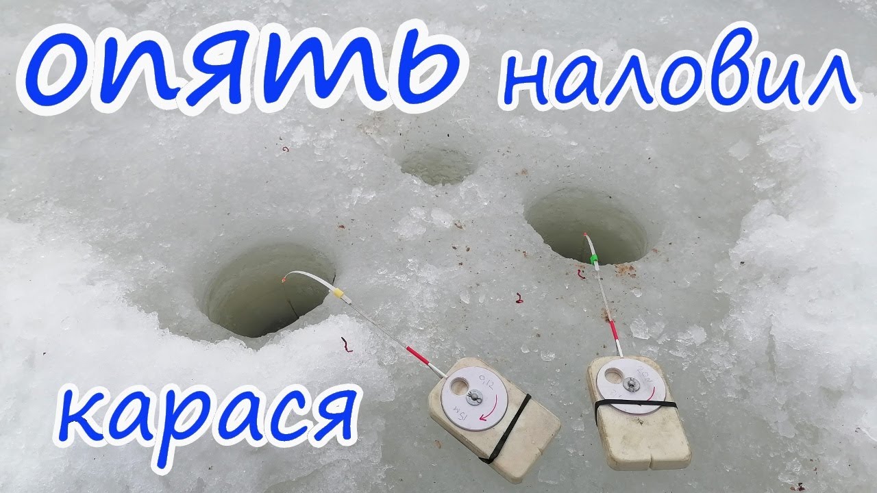 Рыбалка на карася в марте