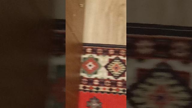 А Гоша гуляет по дому 😏