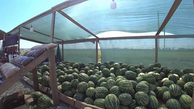 Такой отдых нравится туристам больше всего. Приморский. Феодосия