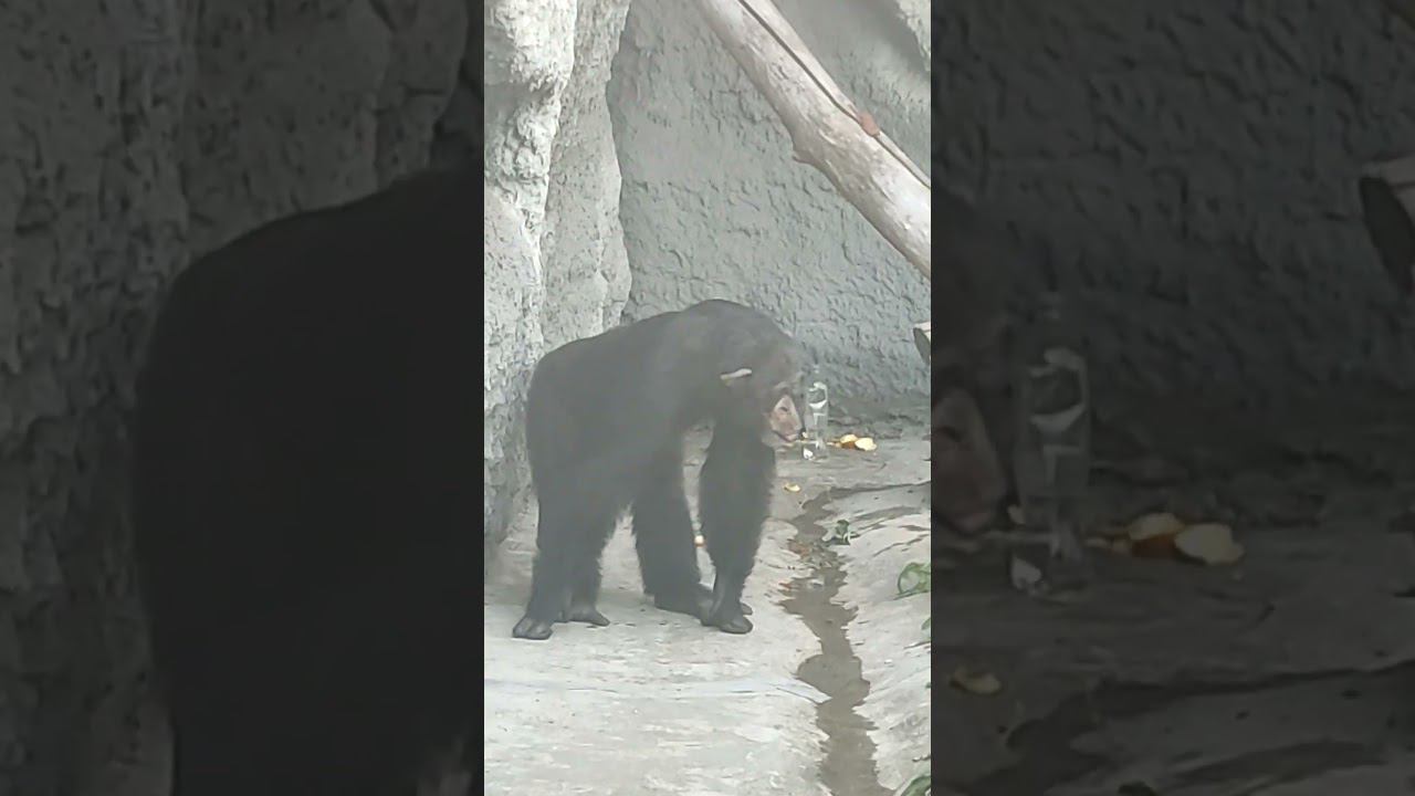 тренд #тренды #тренд #2024