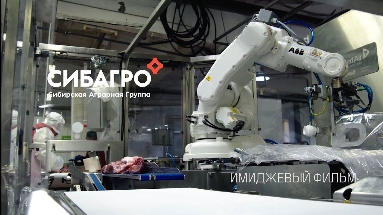 ФИЛЬМ К ЮБИЛЕЮ СИБАГРО НА УРАЛЕ. СВИНОКОМПЛЕКС УРАЛЬСКИЙ 15 лет!