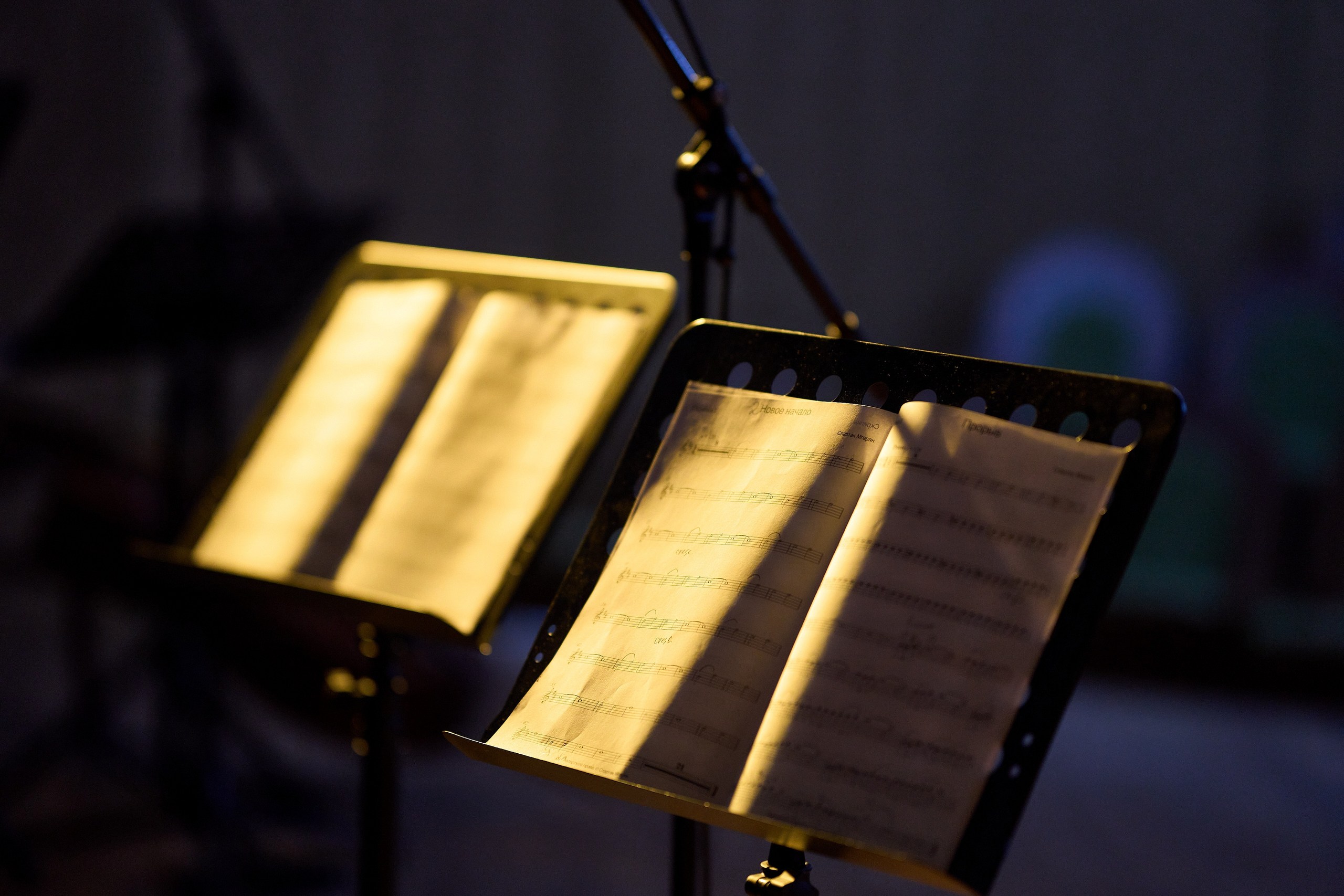 Спартак Мгерян - Мое сердце твое