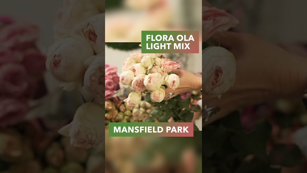 Смотрите полный обзор на нашем канале #mflowers #цветочныйбизнес #цветы #цветыоптом