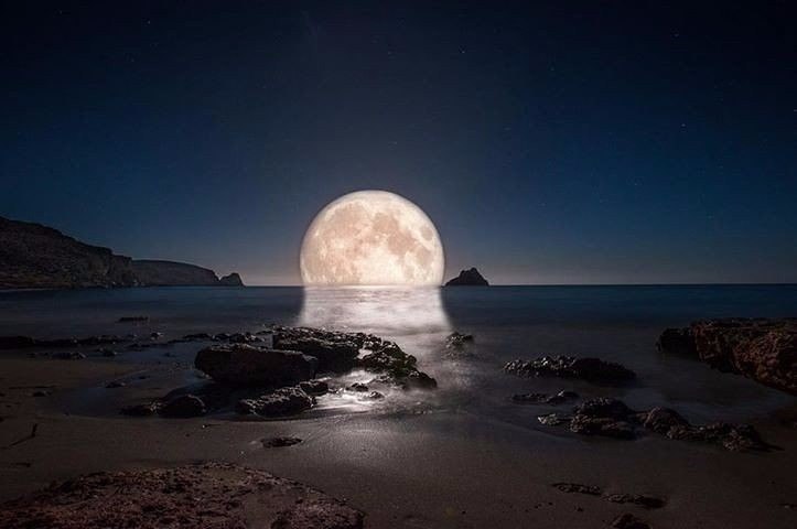 В.А.Моцарт. Маленькая ночная серенада.