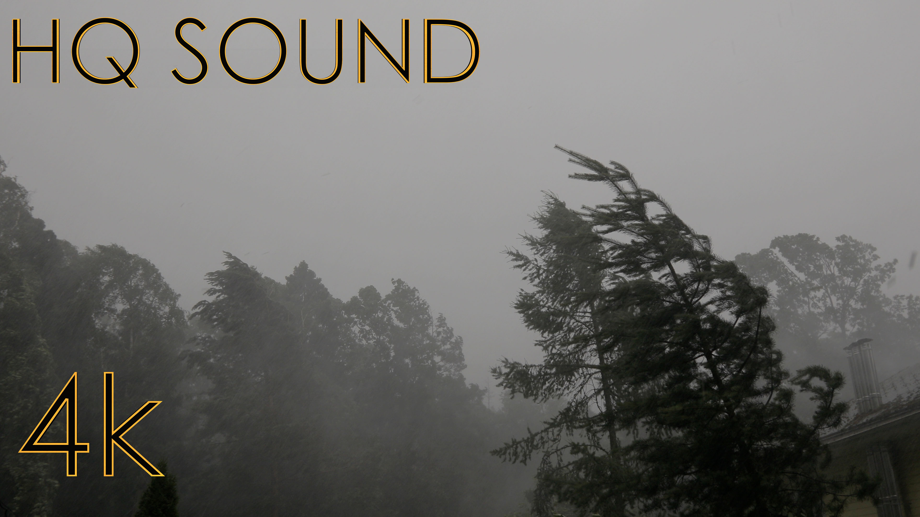 Ливень (4К, HQ sound)