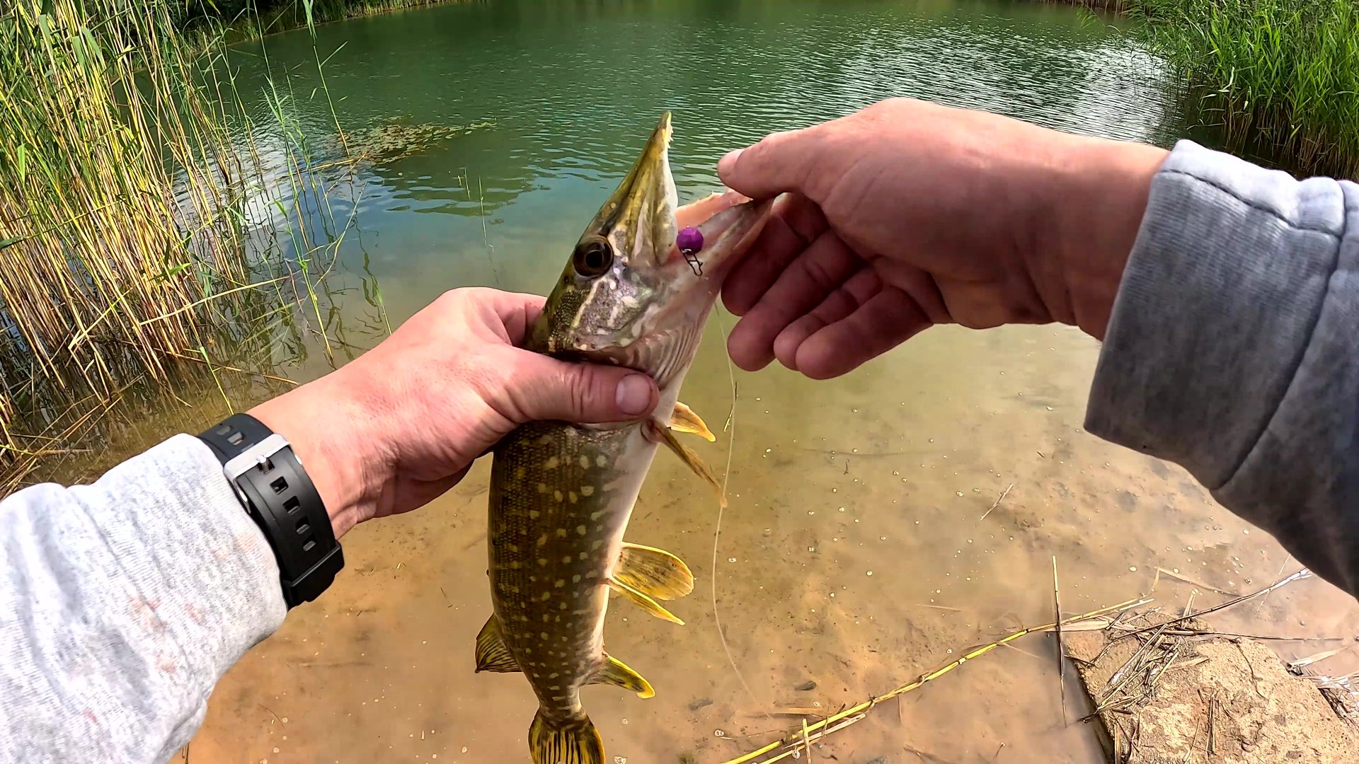 Ловля щуки на силиконовые приманки