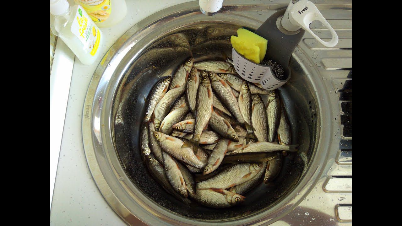 Испытание новых мушек. Часть 2