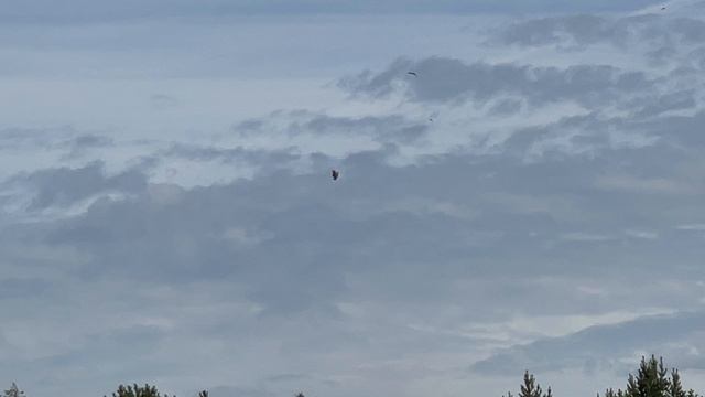 Москва 23.06.2024, Битцевский лес, лысая гора. 17:55. НЛО в небе.