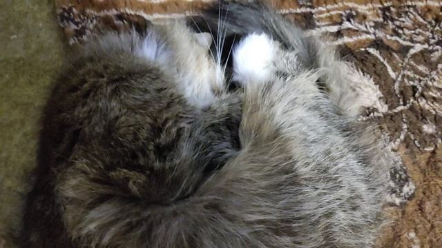 С Новым 2024 годом! 01.01.24