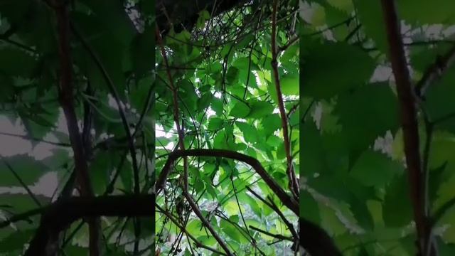 ЭТО ВАЖНО. ПРИЗНАВАЙТЕ СВОЙ УСПЕХ!