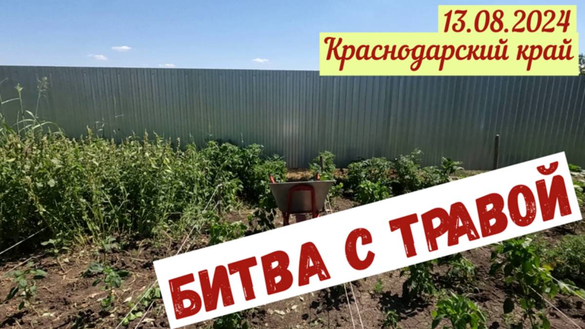 Краснодарский край. Битва с травой(13.08.2024)