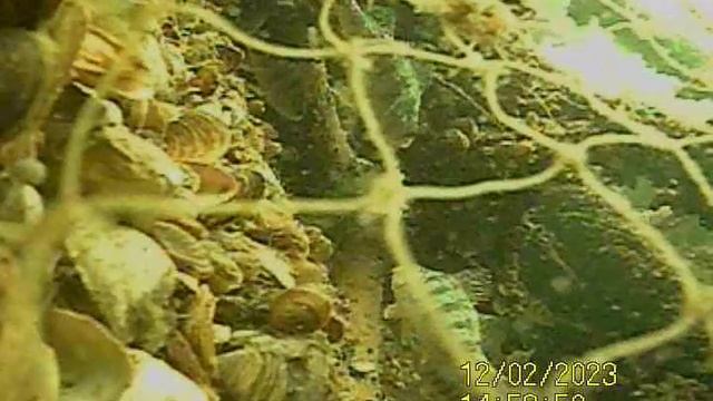 YouCut_20231202_162218050.mp4