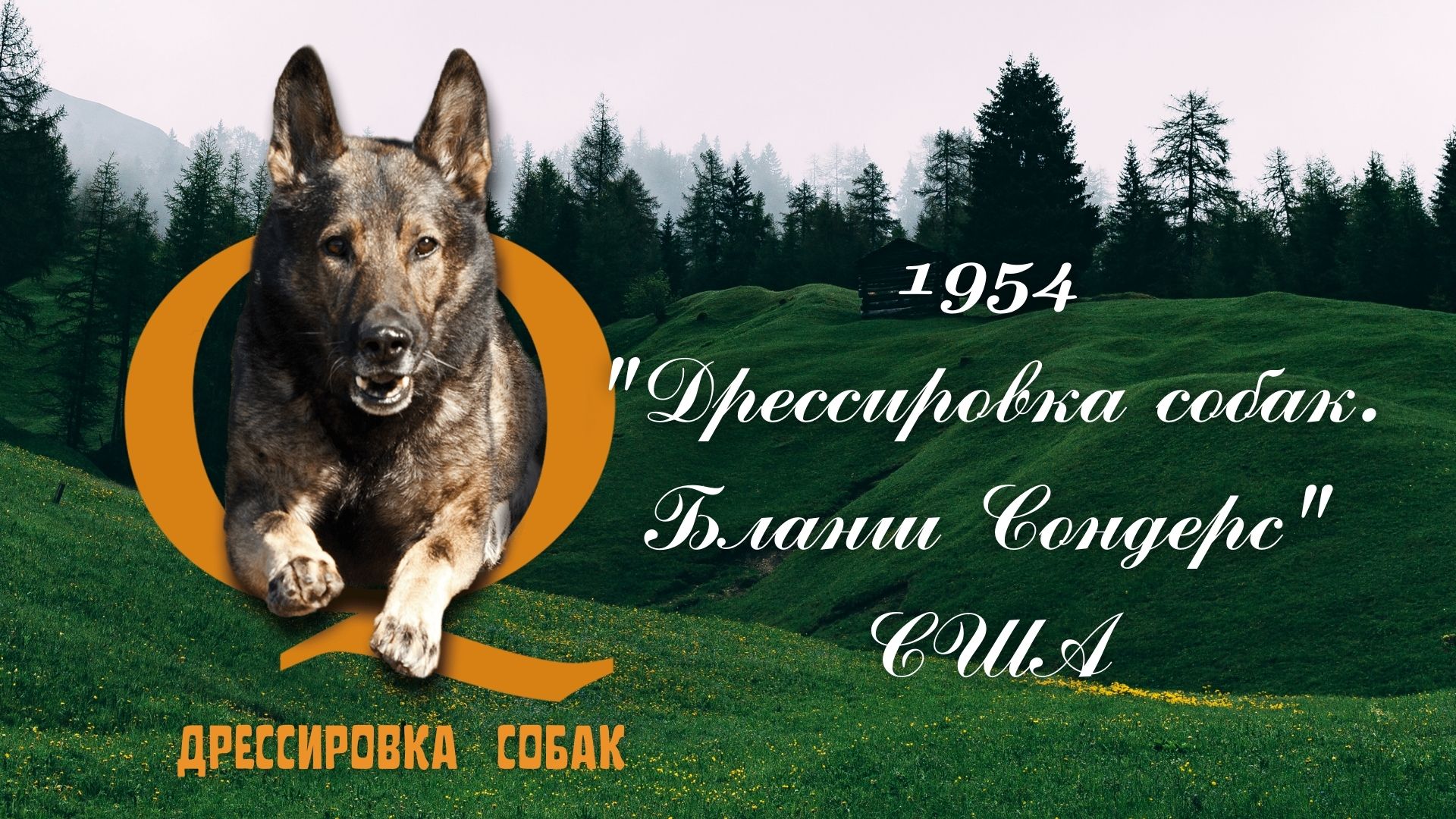 1954 Дрессировка собак по Бланш Сондерс. Исследовательский центр собак Гейнса США.