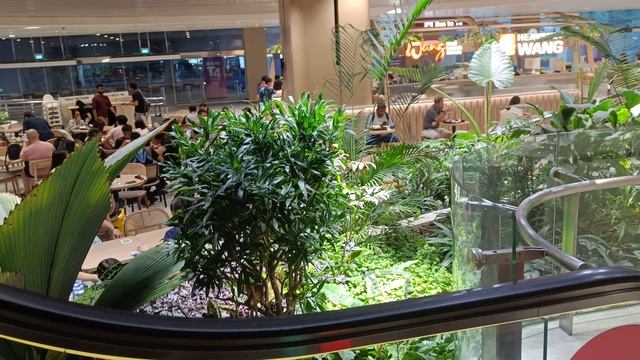 Сингапурский аэропорт - еда.