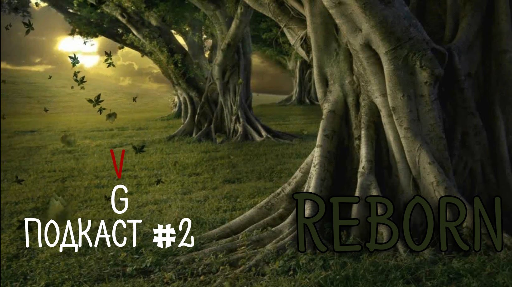VGC  Подкаст #2 Reborn
