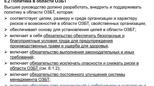 ИСО 45001 (5)