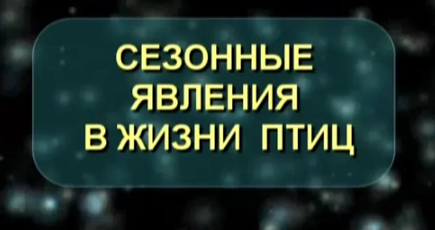 Сезонные явления в жизни птиц. Биология