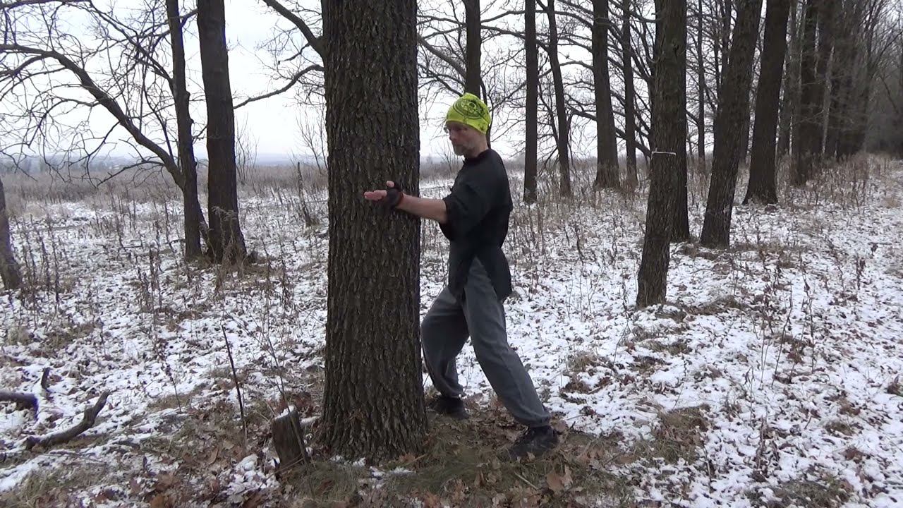 М231119-1 Жёсткие методы цигун, нарезка