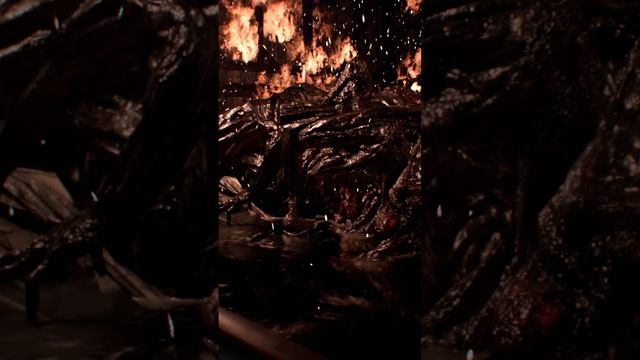 В шоколадный глаз