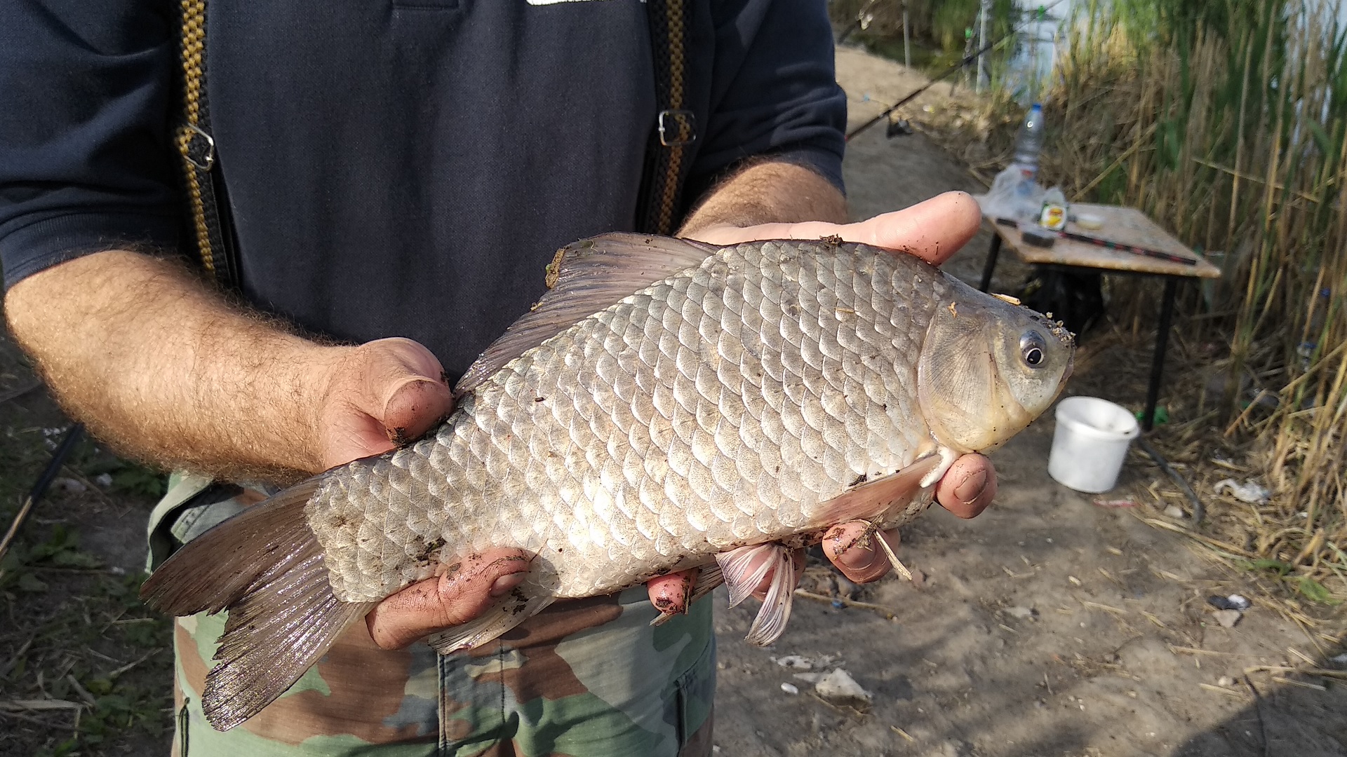 Рыбалка. Ловим карася. Ночью дождь.