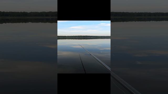 Рыбалка на Девятке 02,09,2024, мини караси