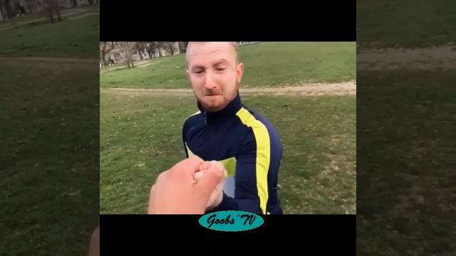 #4 Лучшие видео за декабрь'22 (1)