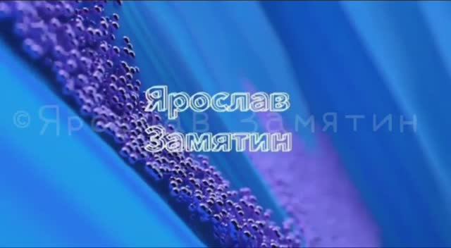 (Перезалив с удалённого Ютуб-канала) Северные Гости (Песцы).